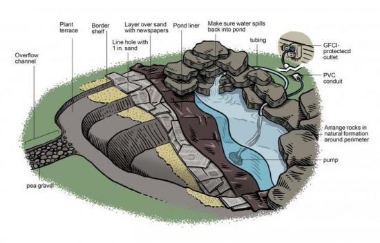 How to Build a Pond Easily, Cheaply and Beautifully • The Garden Glove