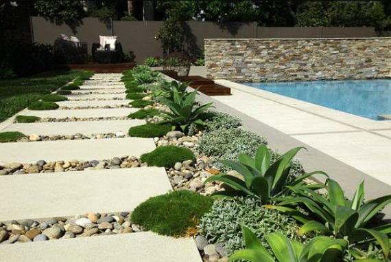 Stepables: Perfect Plants for Paths and Walkways • The Garden Glove