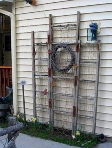 DIY Garden Trellis Projects • The Garden Glove