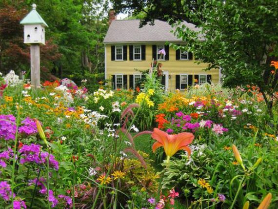 Garden Design : Using Texture in the Garden • The Garden Glove