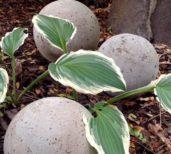 Easy DIY Concrete Garden Spheres Tutorial • The Garden Glove