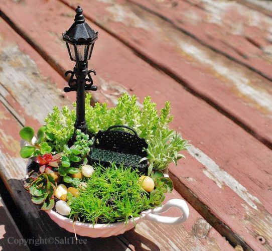 DIY Mini Gardens • The Garden Glove
