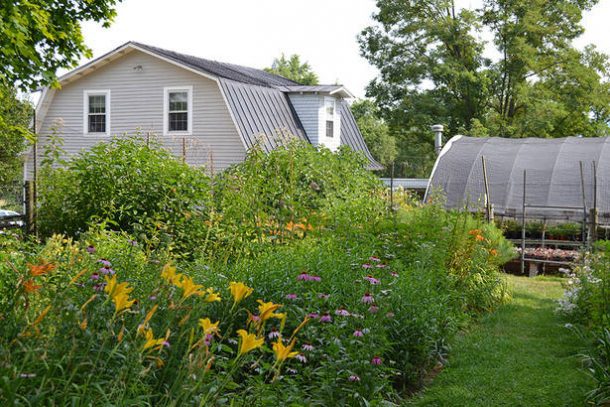 Heirloom Gardening : What It Is & Why Do It! • The Garden Glove