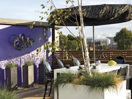 Make Your Patio Pop with Color! • The Garden Glove
