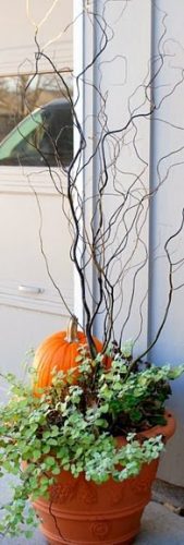 Fabulous Fall Container Ideas • The Garden Glove