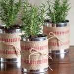Top 12 Garden Seed Catalogs - 2019 | The Garden Glove