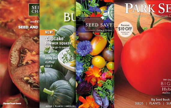 Top 10 Seed Catalogs for 2026 - Plus More Online Seed Stores and ...