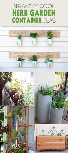 Insanely Cool Herb Garden Container Ideas • The Garden Glove
