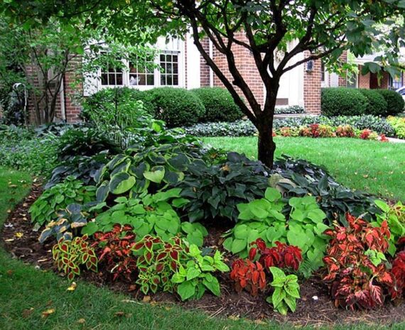 Landscape Island Ideas & Garden Bed Design • The Garden Glove
