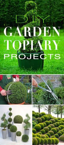 DIY Topiary Projects for the Garden • The Garden Glove