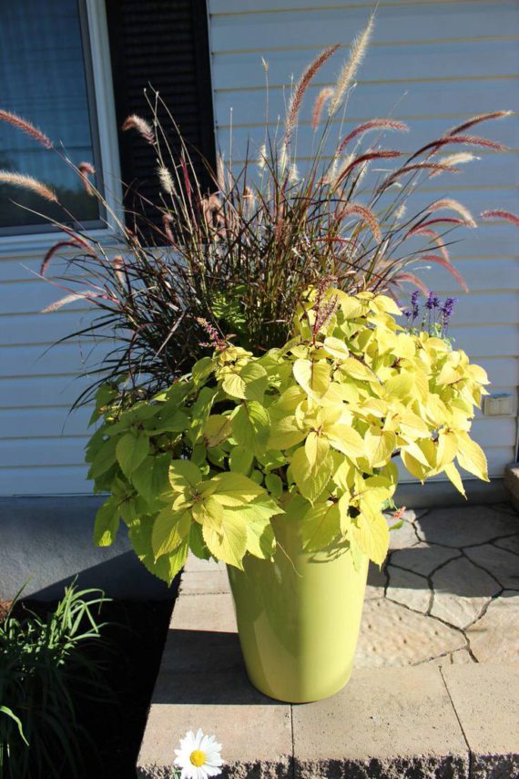 Fall Planter Ideas - Wow 'Em in 3 Easy Steps • The Garden Glove