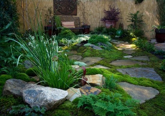 Marvelous Moss Gardens : How to Grow Moss Outdoors • The Garden Glove