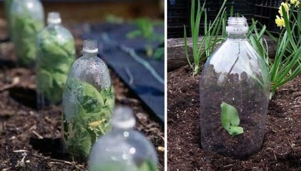 24 Awesome DIY Greenhouse Projects • The Garden Glove