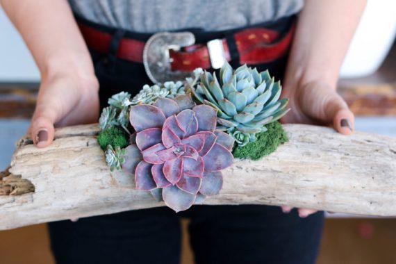 Buy or DIY? - 16 Cool Planters • The Garden Glove