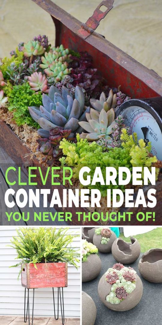 Clever Garden Container Ideas You Never Thought Of! • The Garden Glove