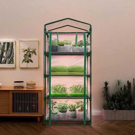 Starting Seeds Indoors: A Comprehensive Guide for Gardeners • The ...