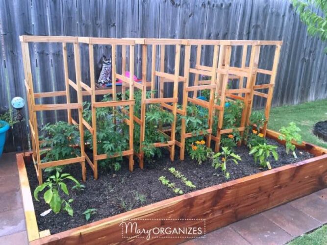 Easy DIY Tomato Cage & Trellis Ideas: How to Make Them! • The Garden Glove