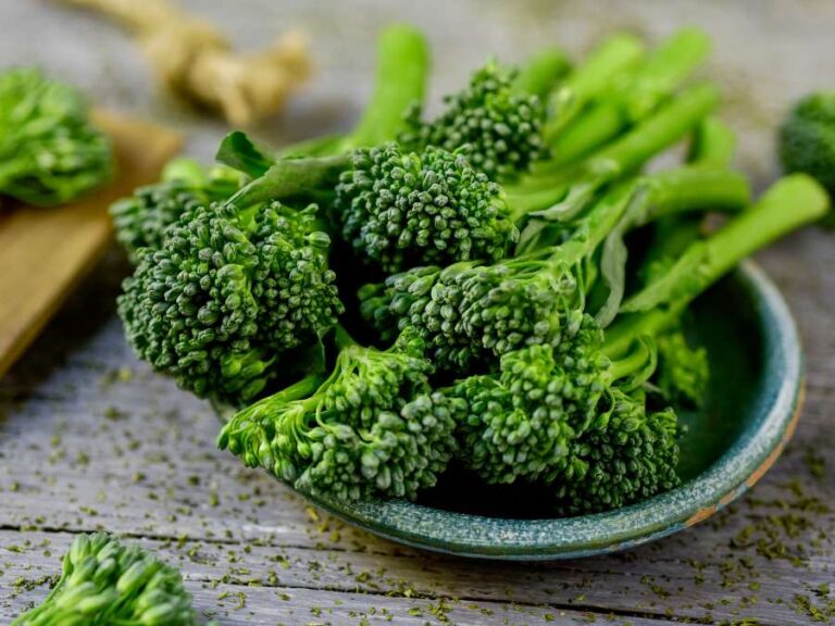 21 Fall Garden Vegetables to Plant for a Fall Harvest • The Garden Glove