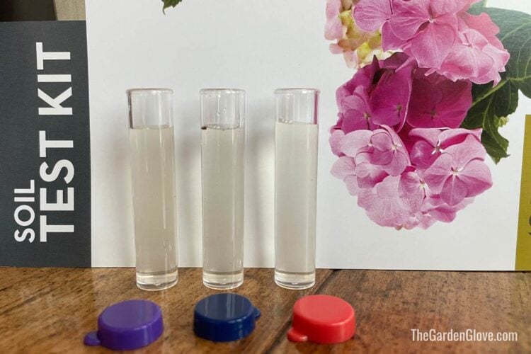 How to Use a Home Soil Test Kit • The Garden Glove