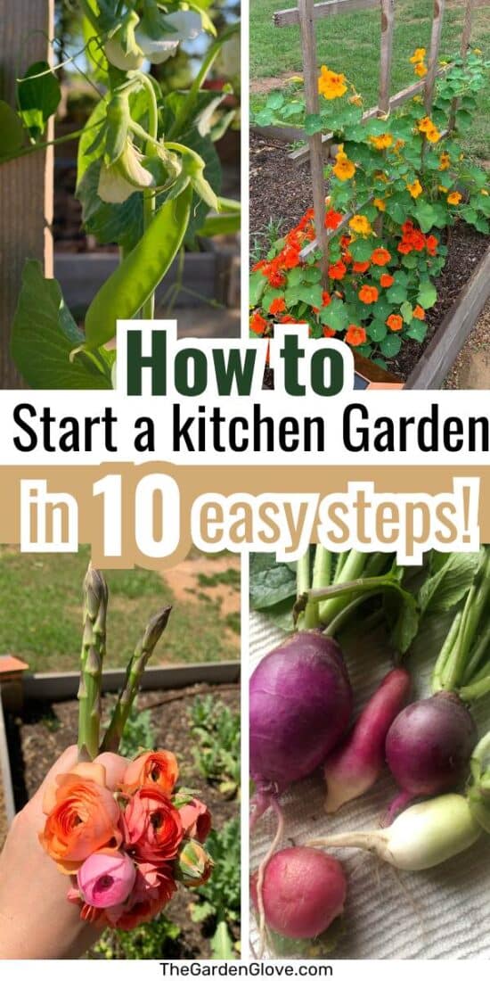 How to Start a Kitchen Garden: 10 Steps for Success • The Garden Glove