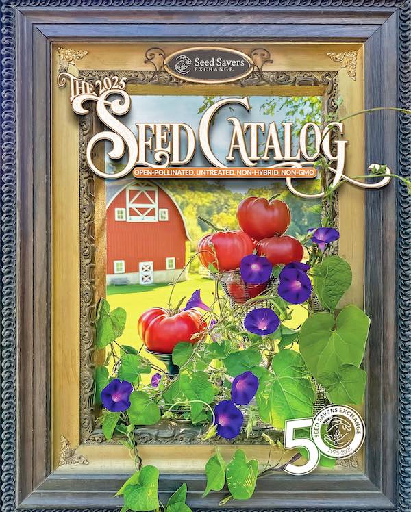 Top 10 Seed Catalogs for 2026 - Plus More Online Seed Stores and ...