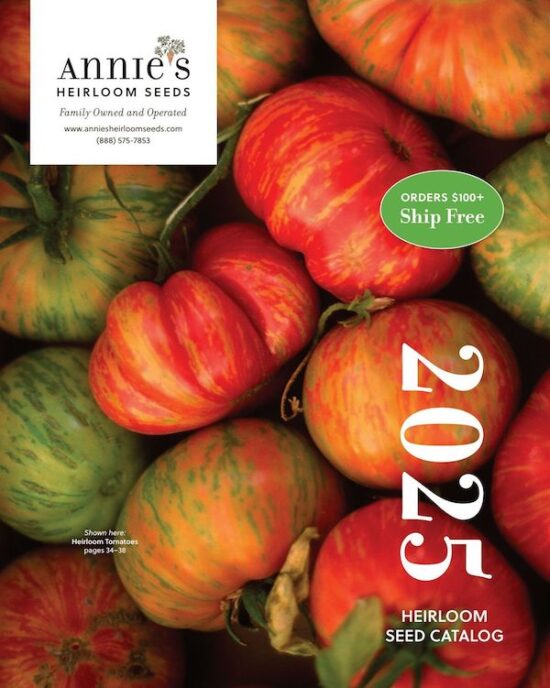 Top 10 Seed Catalogs for 2026 - Plus More Online Seed Stores and ...