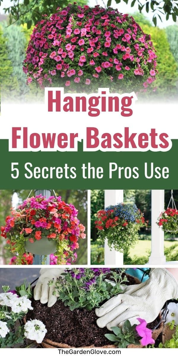 Hanging Flower Baskets : 5 Secrets the Pros Use • The Garden Glove